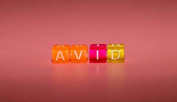 What is the AVID framework?