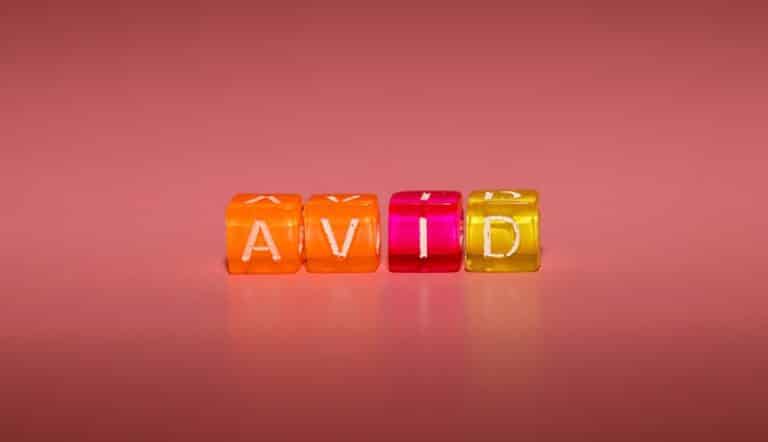 What is the AVID framework?