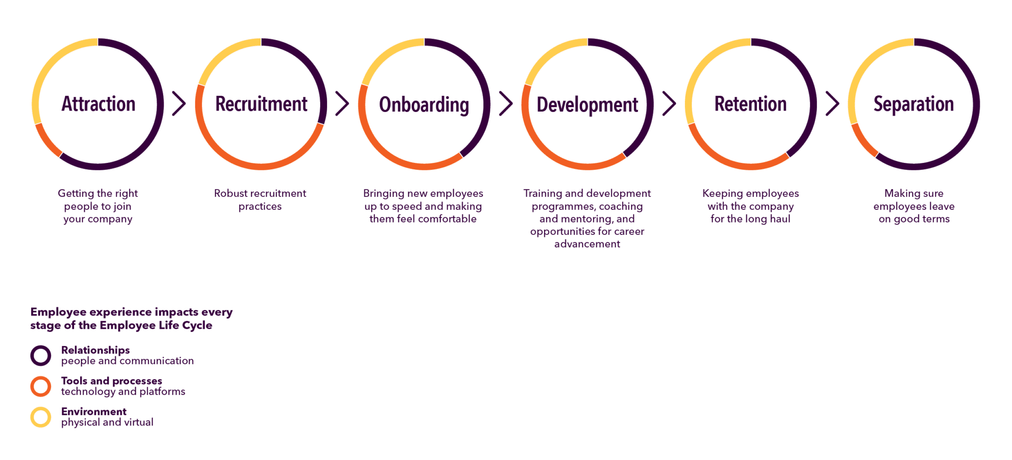 What are the stages of the employee lifecycle? What are the stages of the employee lifecycle?
